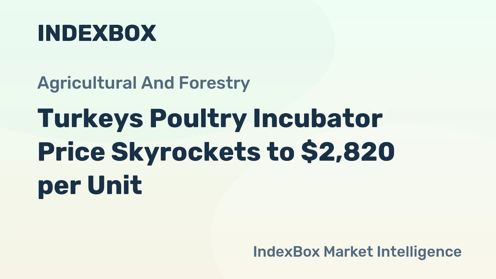 Turkeys Poultry Incubator Price Skyrockets to $2,820 per Unit