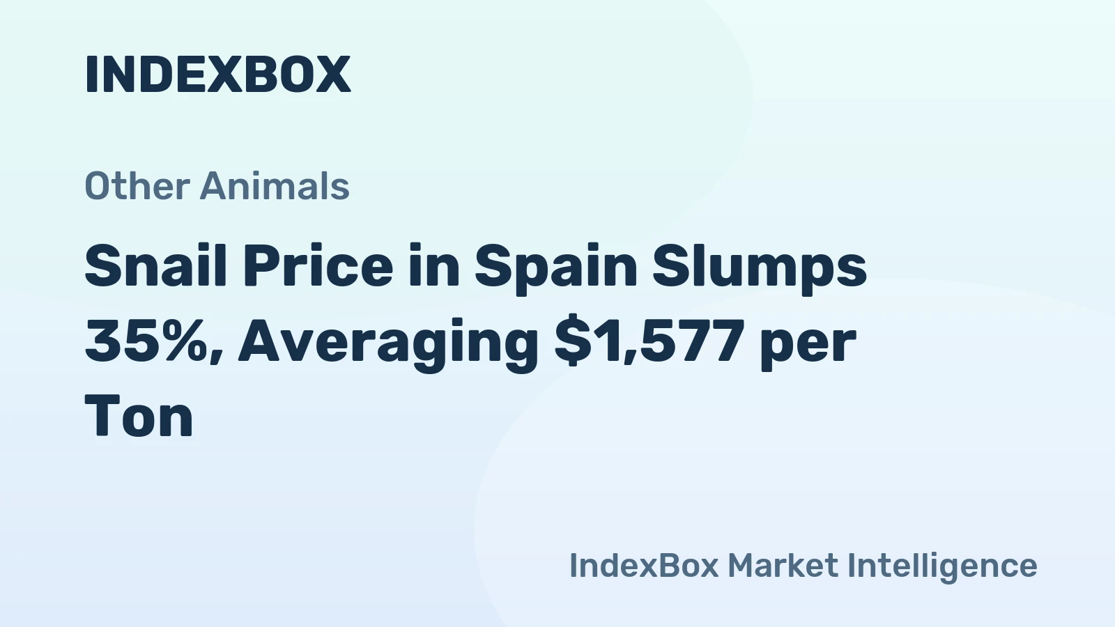 Snail Price in Spain Slumps 35%, Averaging $1,577 per Ton