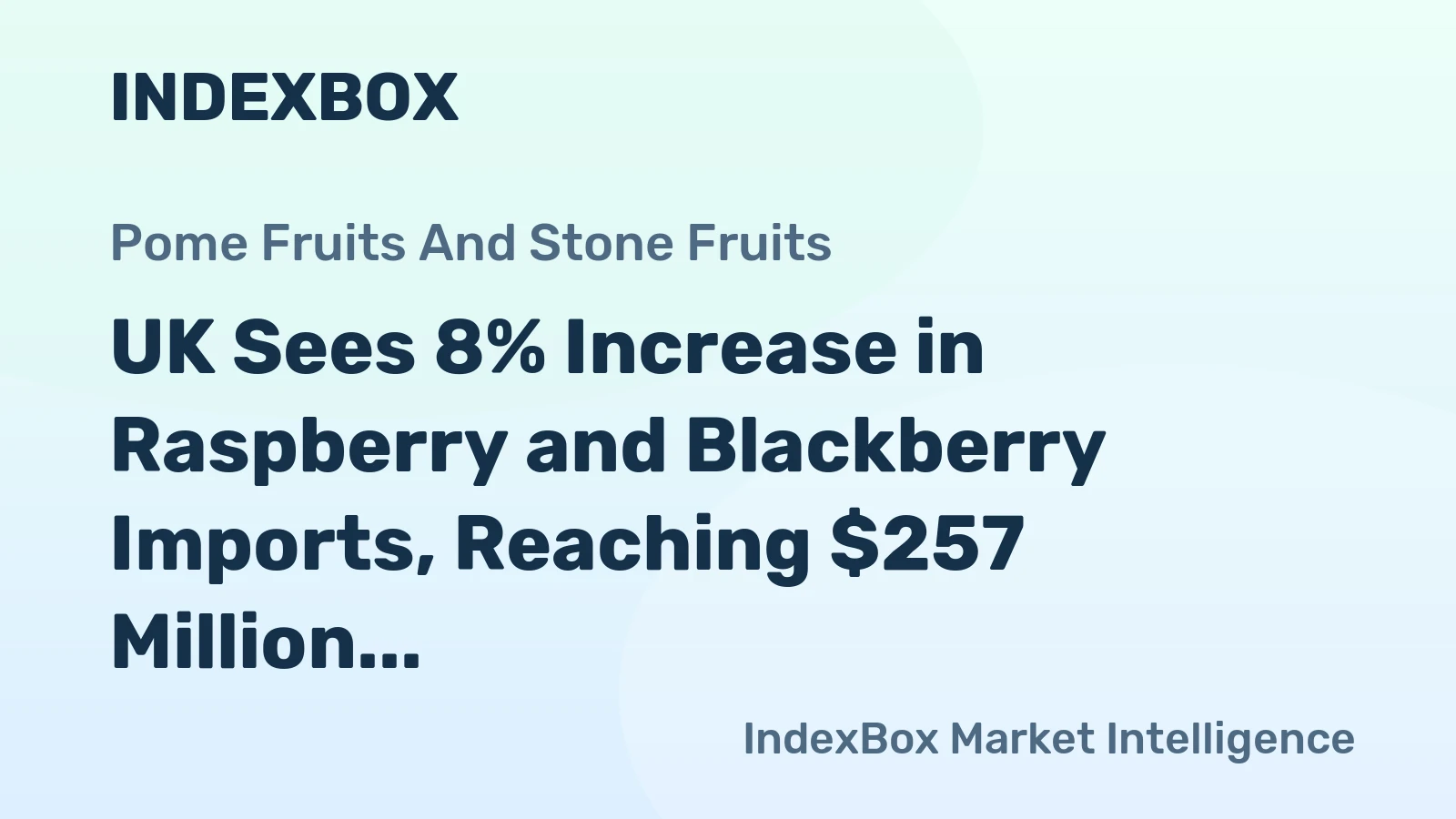 UK Sees 8% Increase in Raspberry and Blackberry Imports, Reaching $257 Million in 2024