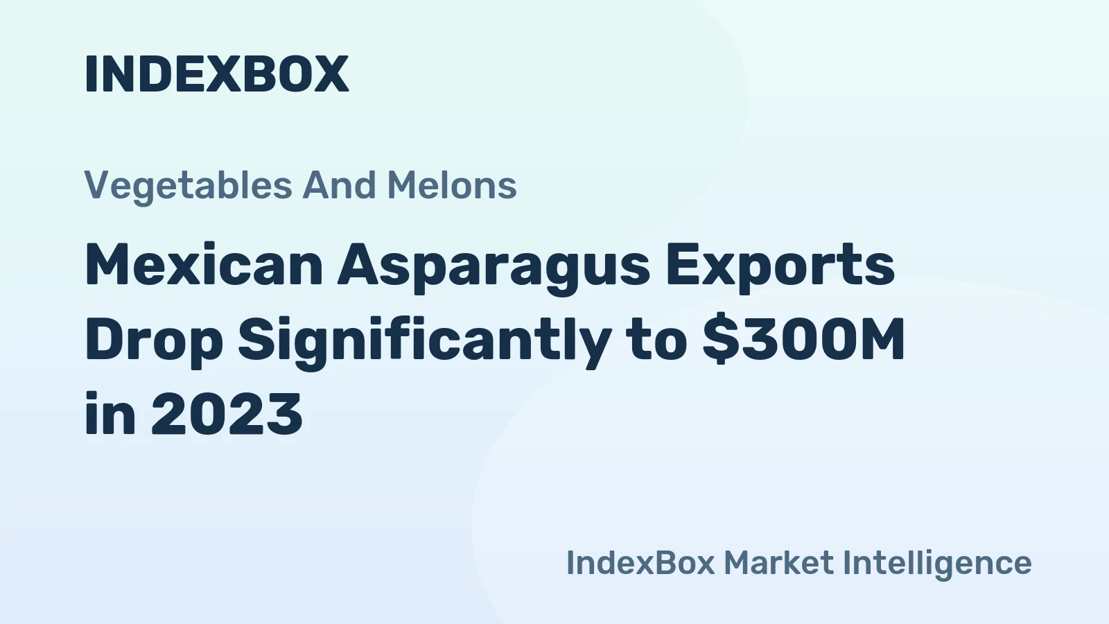 Mexican Asparagus Exports Drop Significantly to $300M in 2023