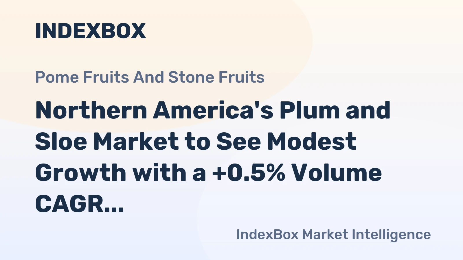 Northern America's Plum and Sloe Market to See Modest Growth with a +0.5% Volume CAGR Through 2035
