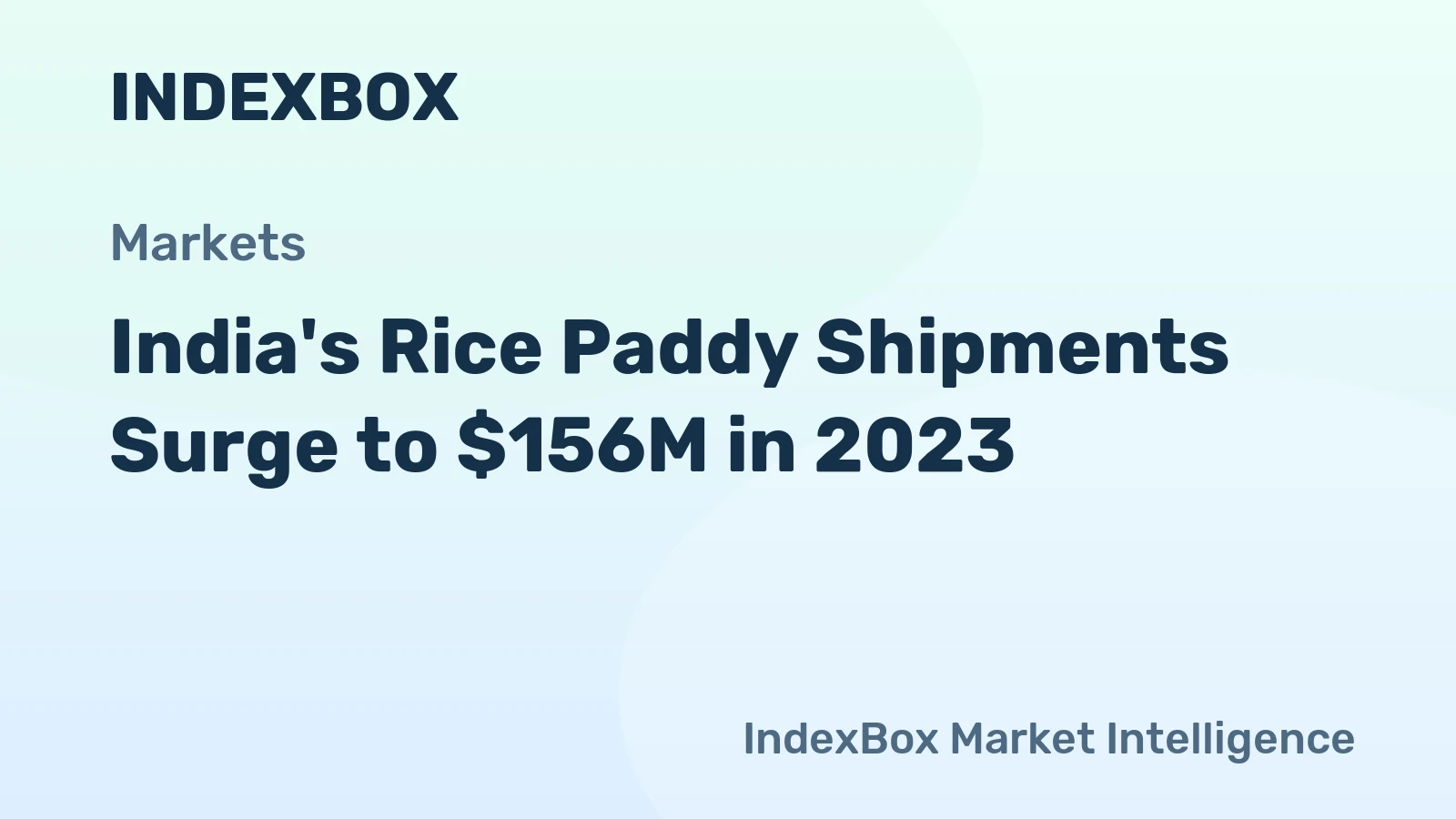 India's Rice Paddy Shipments Surge to $156M in 2023
