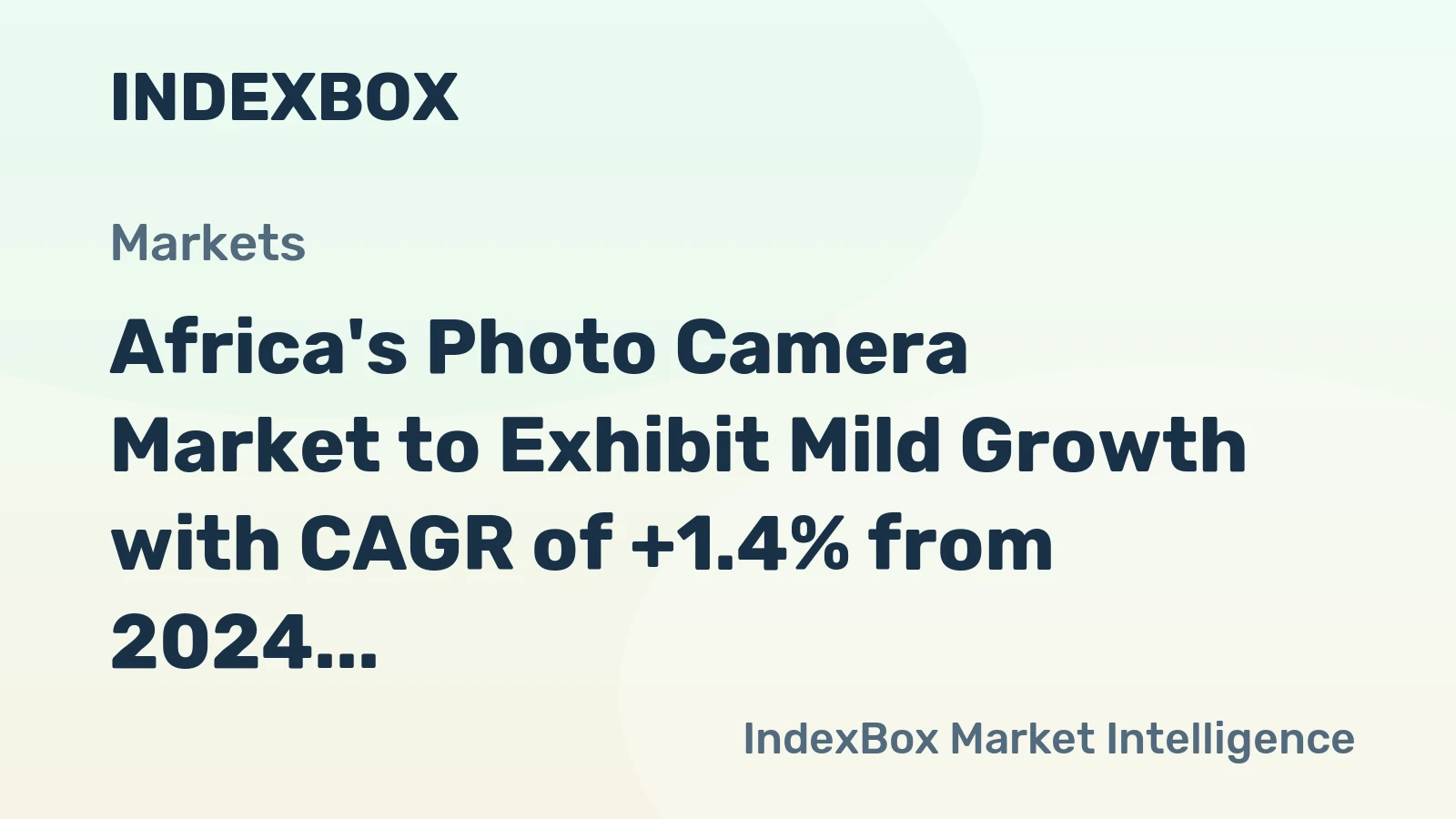 Africa's Photo Camera Market to Exhibit Mild Growth with CAGR of +1.4% from 2024 to 2035