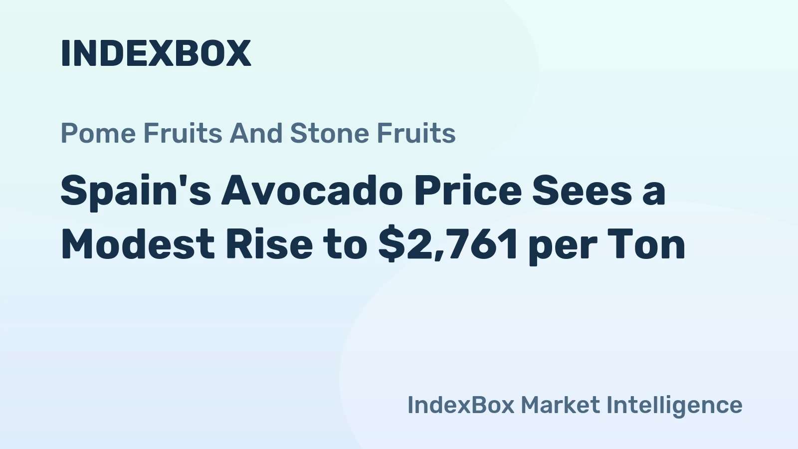 Spain's Avocado Price Sees a Modest Rise to $2,761 per Ton