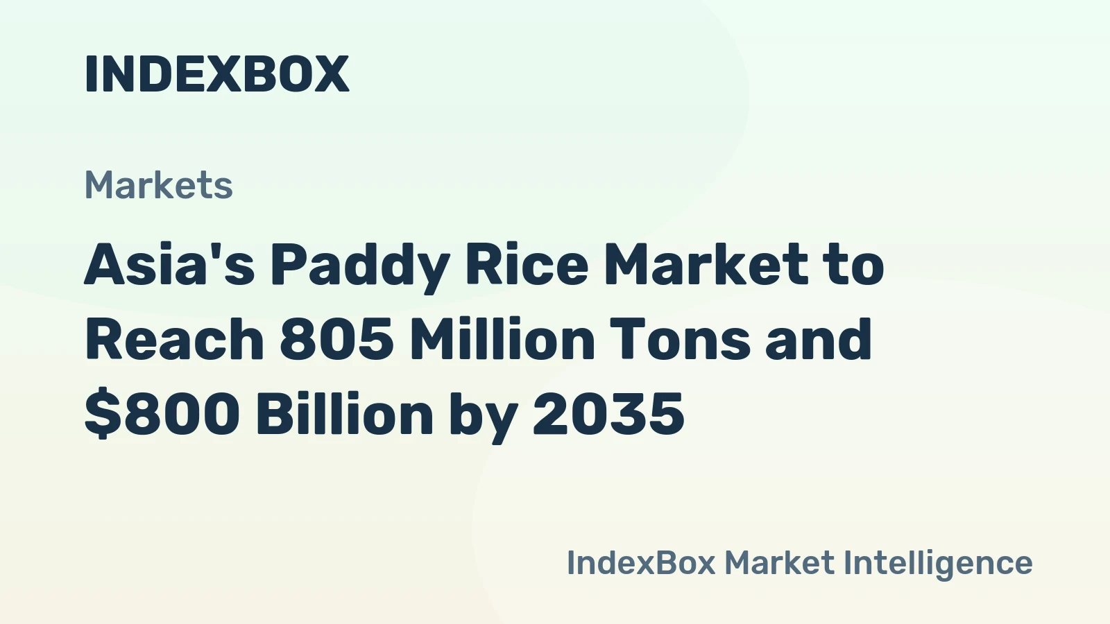 Asia's Paddy Rice Market to Reach 805 Million Tons and $800 Billion by 2035