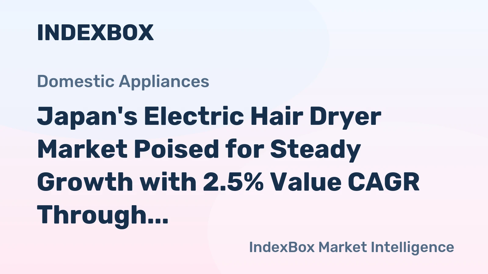 Japan's Electric Hair Dryer Market Poised for Steady Growth with 2.5% Value CAGR Through 2035