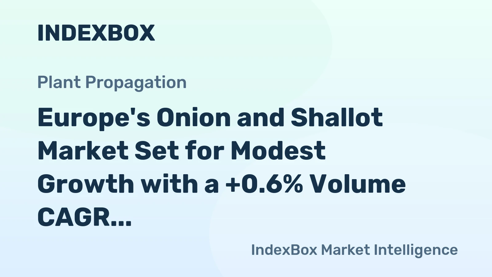 Europe's Onion and Shallot Market Set for Modest Growth with a +0.6% Volume CAGR Through 2035