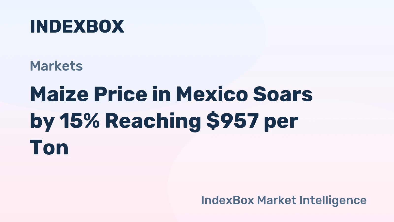 Maize Price in Mexico Soars by 15% Reaching $957 per Ton