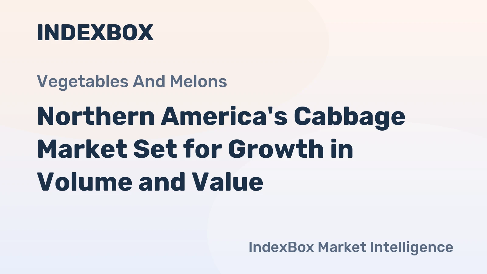 Northern America's Cabbage Market Set for Growth in Volume and Value