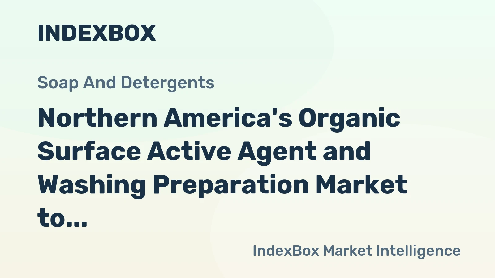 Northern America's Organic Surface Active Agent and Washing Preparation Market to Grow at a Modest 0.4% CAGR Over Next Decade