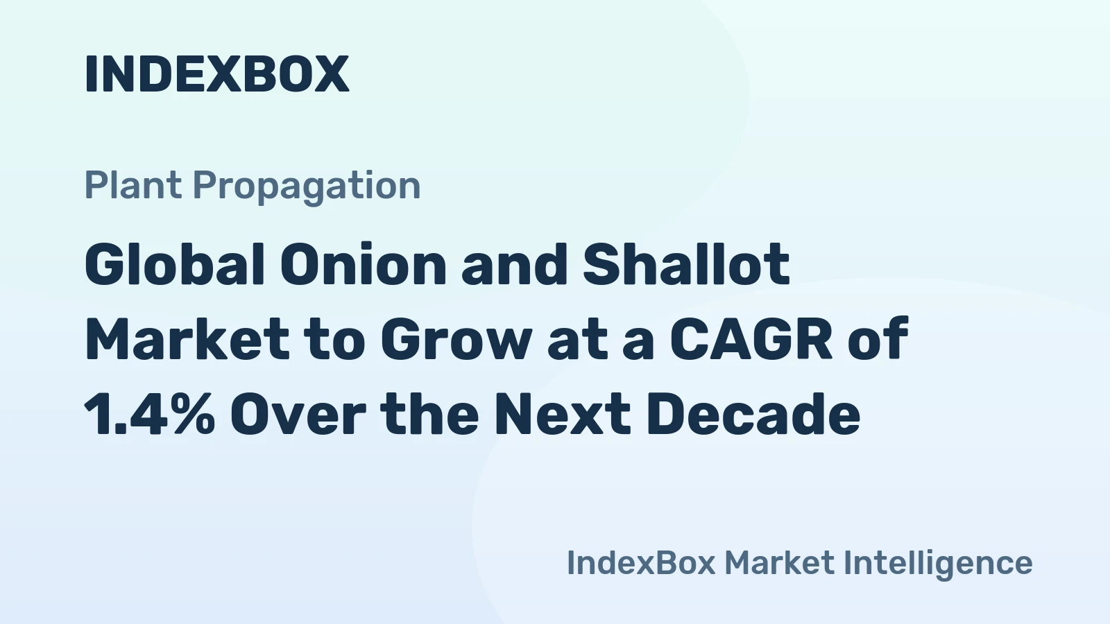 Global Onion and Shallot Market to Grow at a CAGR of 1.4% Over the Next Decade