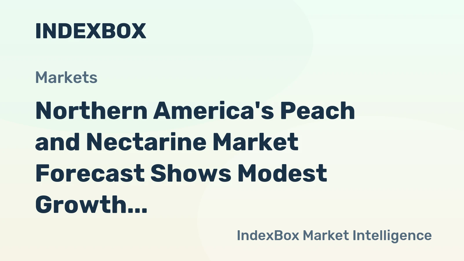 Northern America's Peach and Nectarine Market Forecast Shows Modest Growth With a 1.6% CAGR in Value
