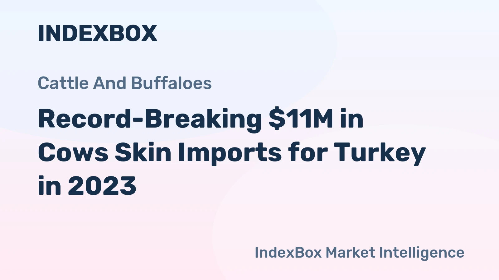 Record-Breaking $11M in Cows Skin Imports for Turkey in 2023