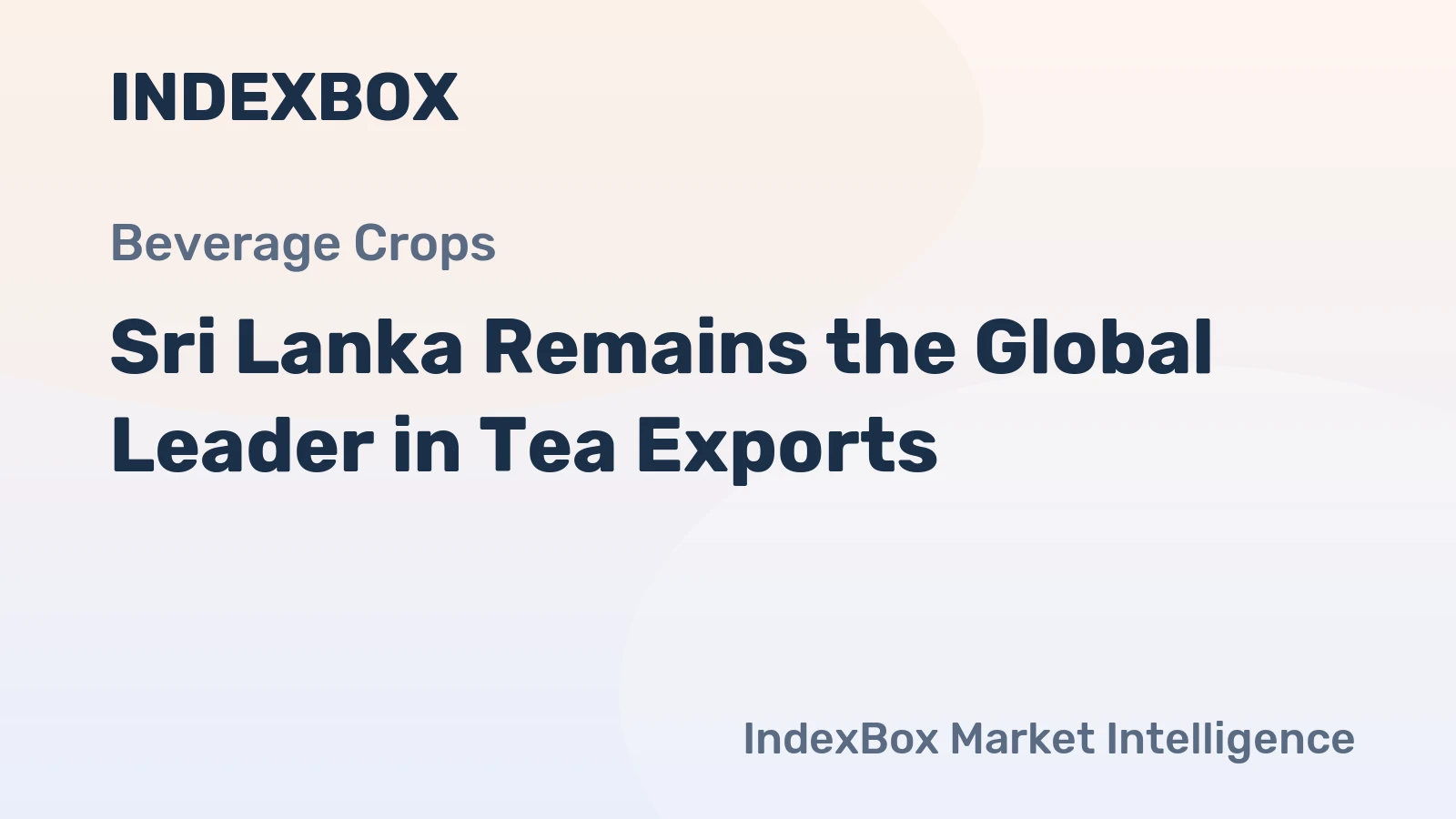 Sri Lanka Remains the Global Leader in Tea Exports