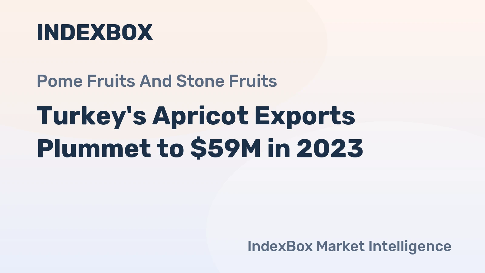 Turkey's Apricot Exports Plummet to $59M in 2023