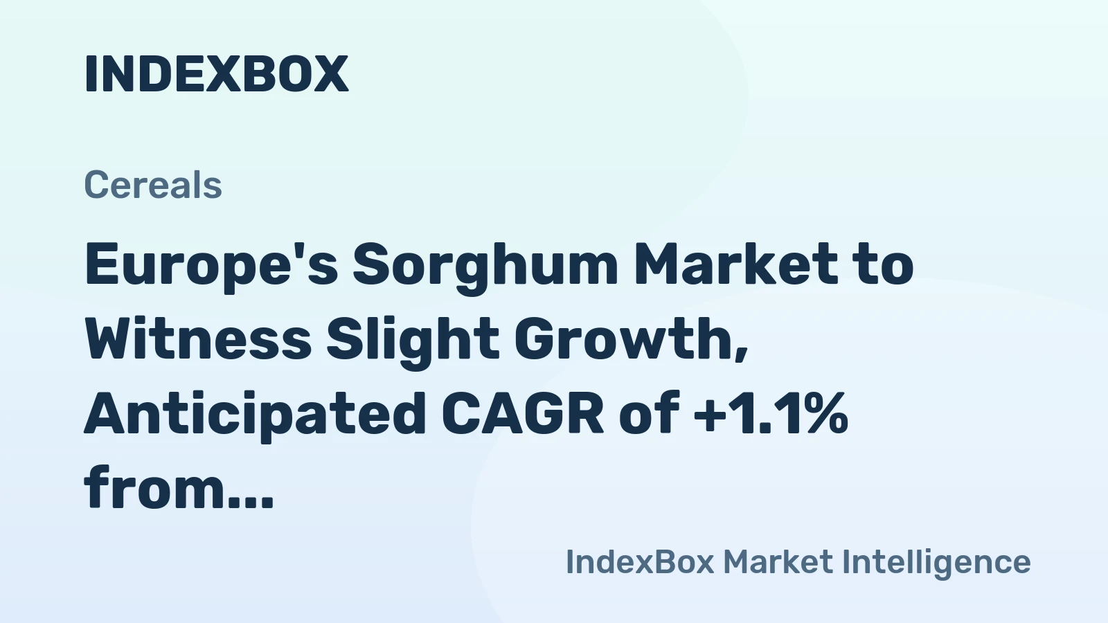 Europe's Sorghum Market to Witness Slight Growth, Anticipated CAGR of +1.1% from 2024 to 2035