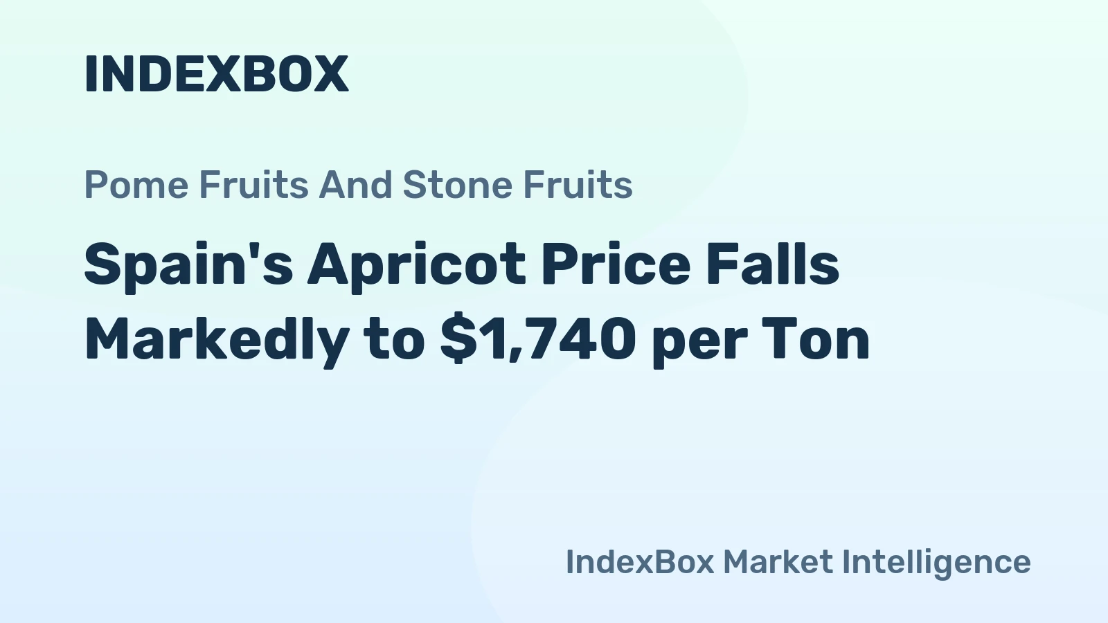 Spain's Apricot Price Falls Markedly to $1,740 per Ton