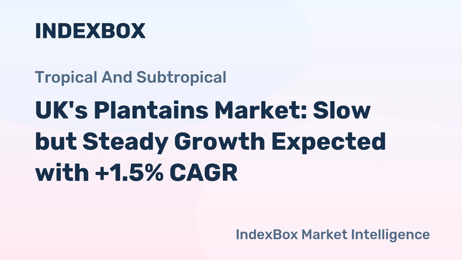 UK's Plantains Market: Slow but Steady Growth Expected with +1.5% CAGR