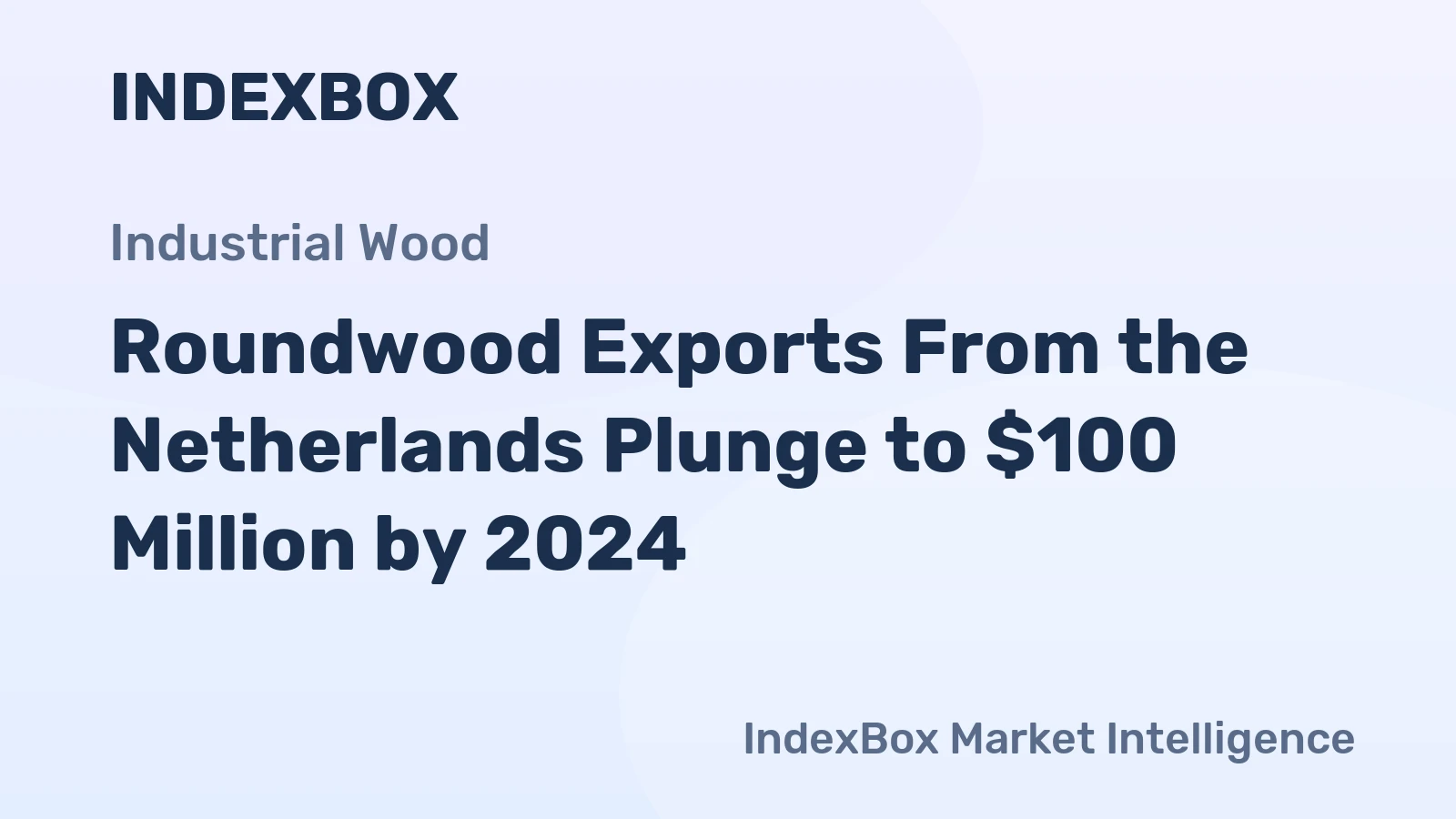 Roundwood Exports From the Netherlands Plunge to $100 Million by 2024