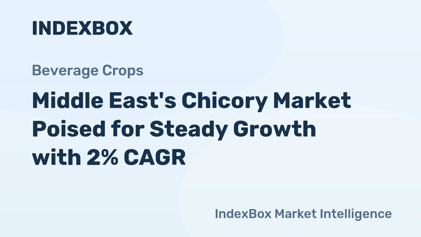 Middle East's Chicory Market Poised for Steady Growth with 2% CAGR