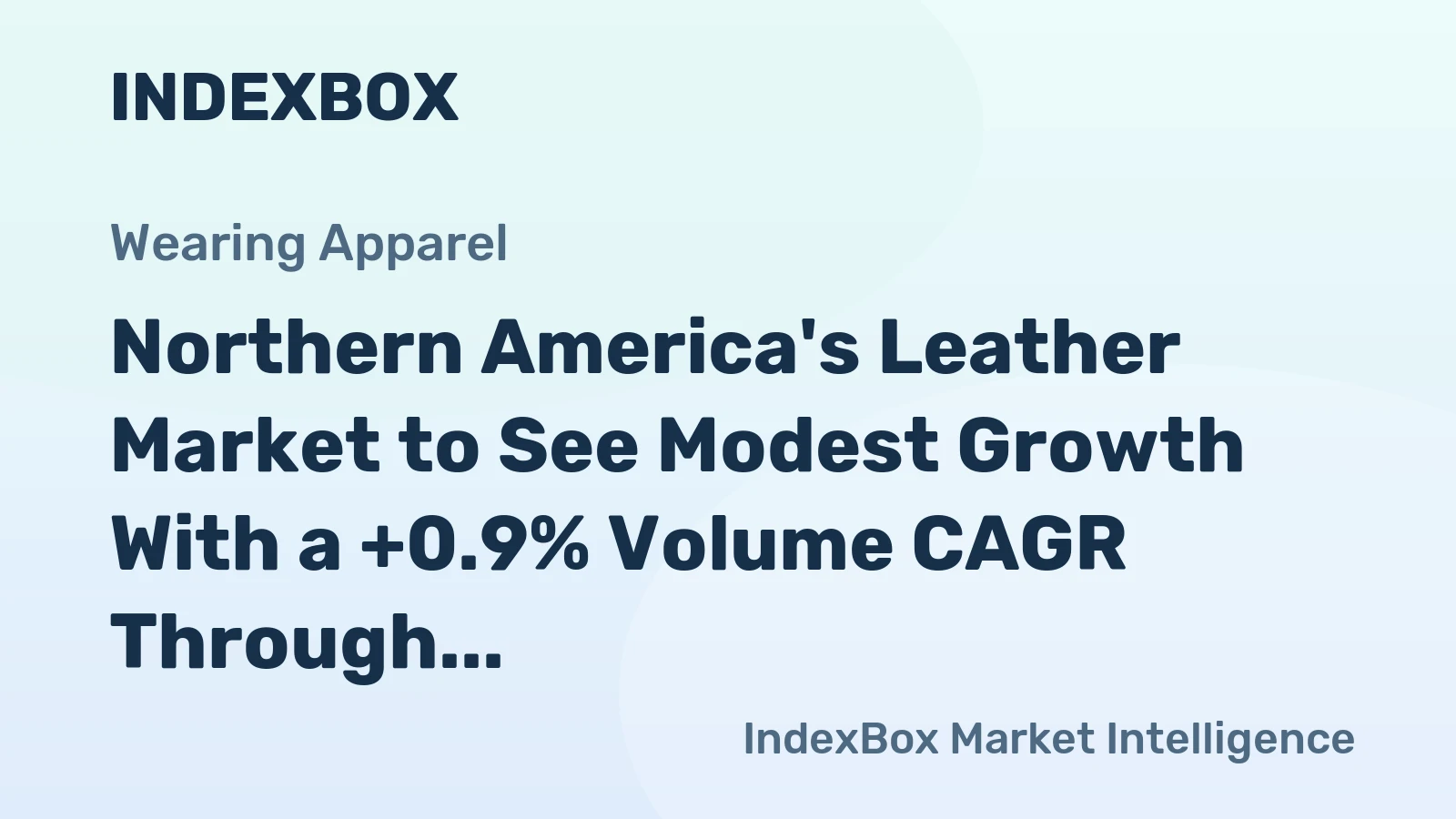 Northern America's Leather Market to See Modest Growth With a +0.9% Volume CAGR Through 2035