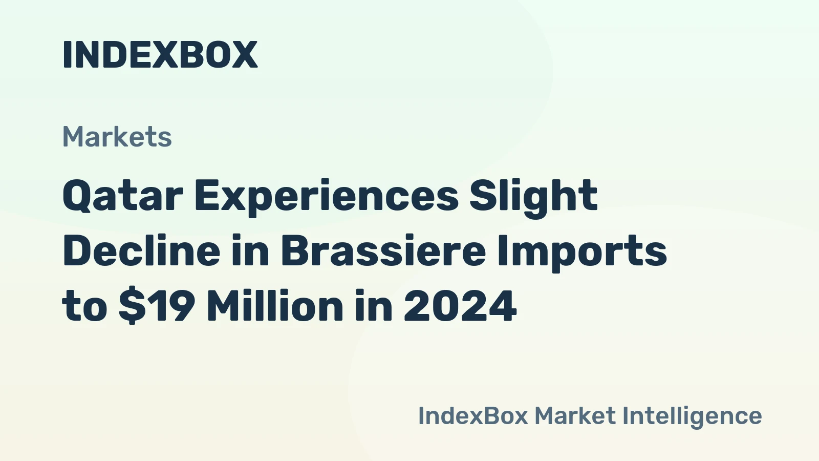 Qatar Experiences Slight Decline in Brassiere Imports to $19 Million in 2024