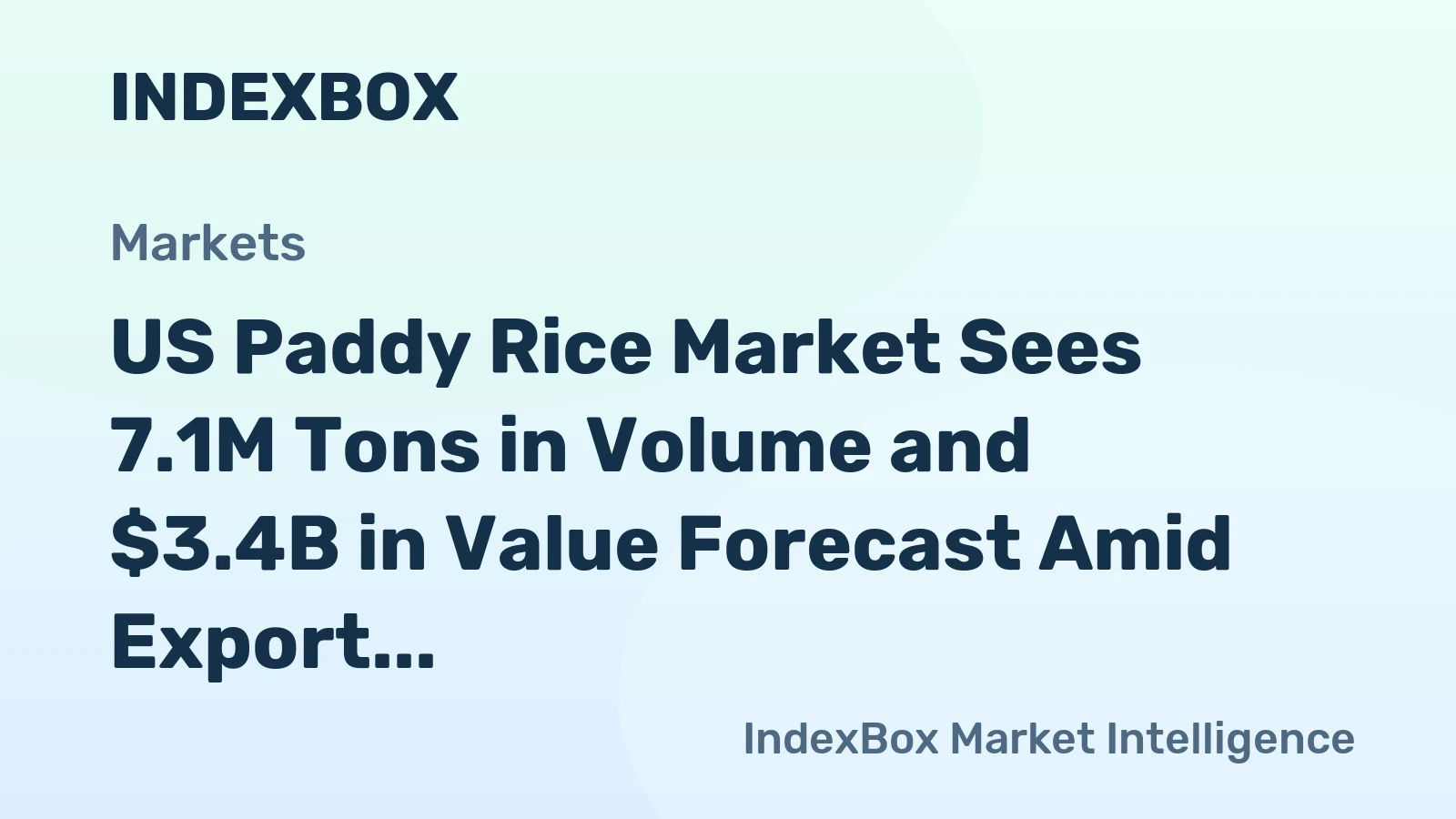 US Paddy Rice Market Sees 7.1M Tons in Volume and $3.4B in Value Forecast Amid Export Surge