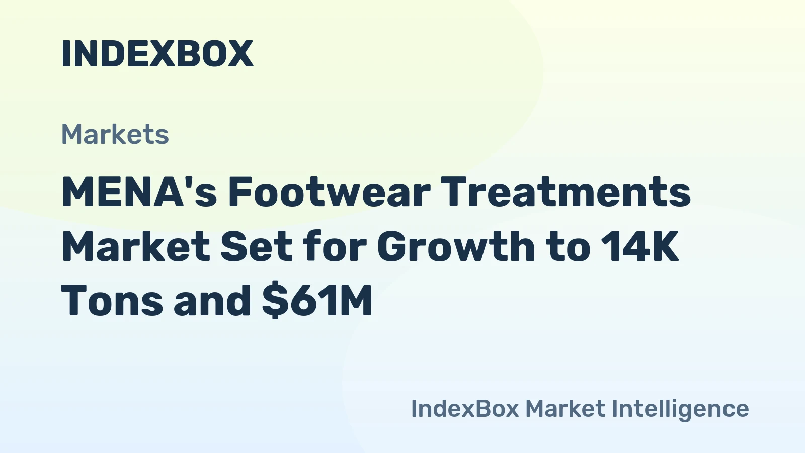 MENA's Footwear Treatments Market Set for Growth to 14K Tons and $61M