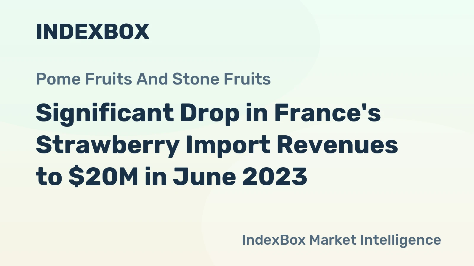 Significant Drop in France's Strawberry Import Revenues to $20M in June 2023