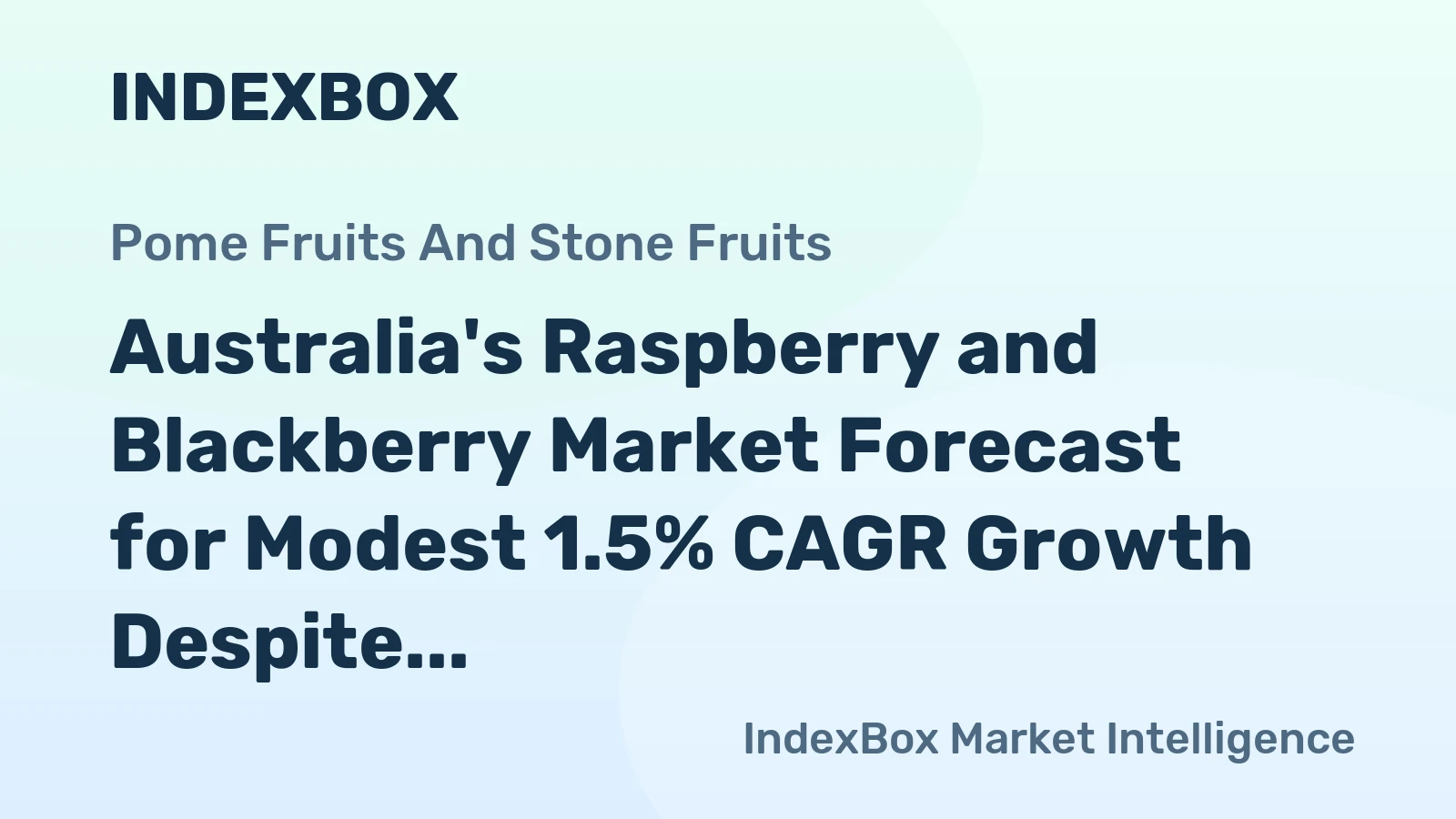 Australia's Raspberry and Blackberry Market Forecast for Modest 1.5% CAGR Growth Despite 2024 Consumption Collapse