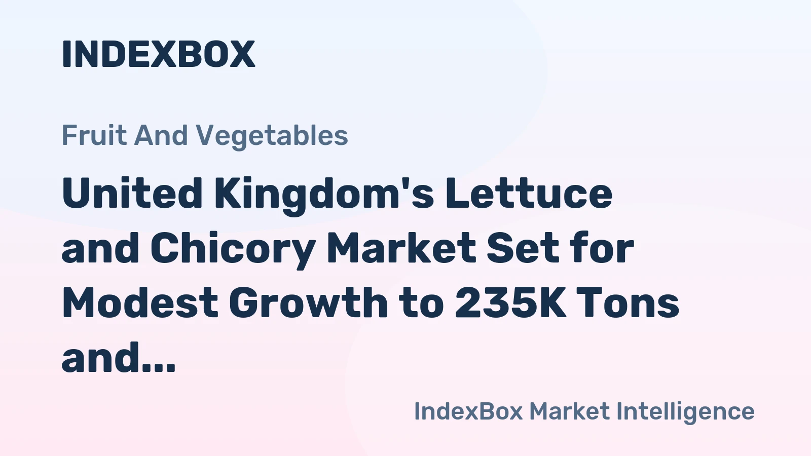 United Kingdom's Lettuce and Chicory Market Set for Modest Growth to 235K Tons and $369M