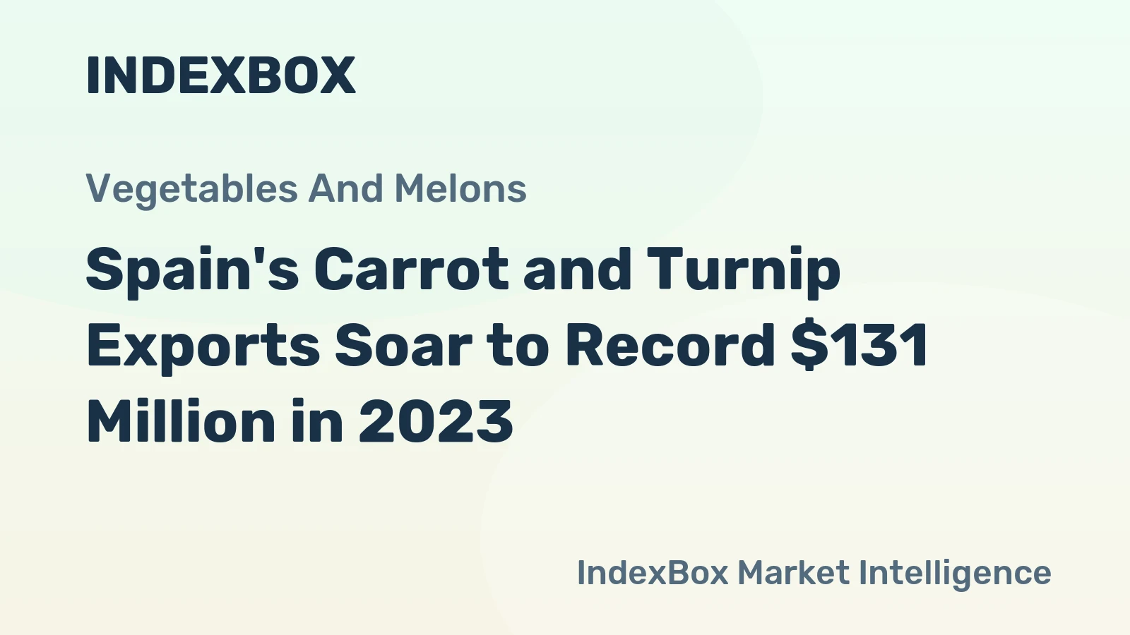 Spain's Carrot and Turnip Exports Soar to Record $131 Million in 2023