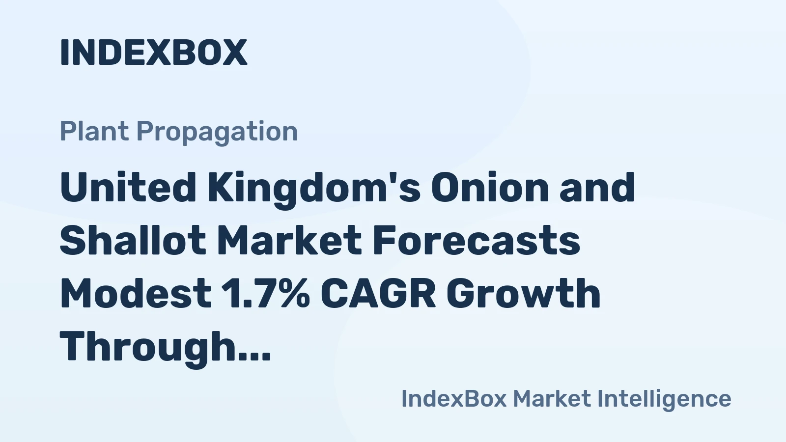 United Kingdom's Onion and Shallot Market Forecasts Modest 1.7% CAGR Growth Through 2035