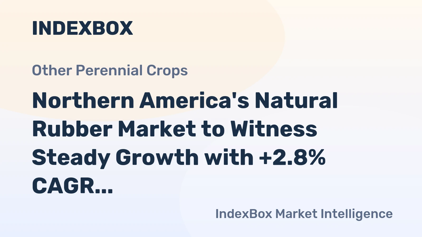 Northern America's Natural Rubber Market to Witness Steady Growth with +2.8% CAGR over the Next Decade