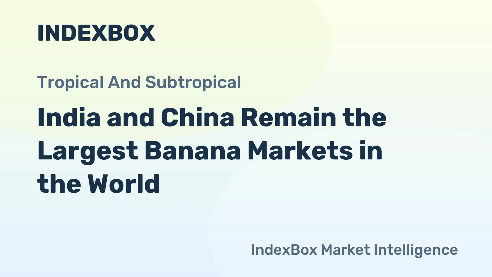 India and China Remain the Largest Banana Markets in the World