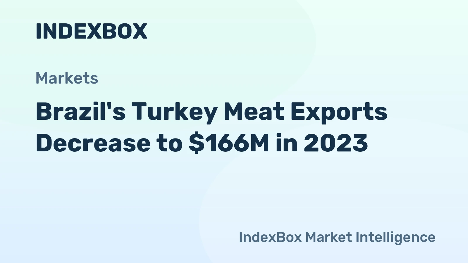Brazil's Turkey Meat Exports Decrease to $166M in 2023