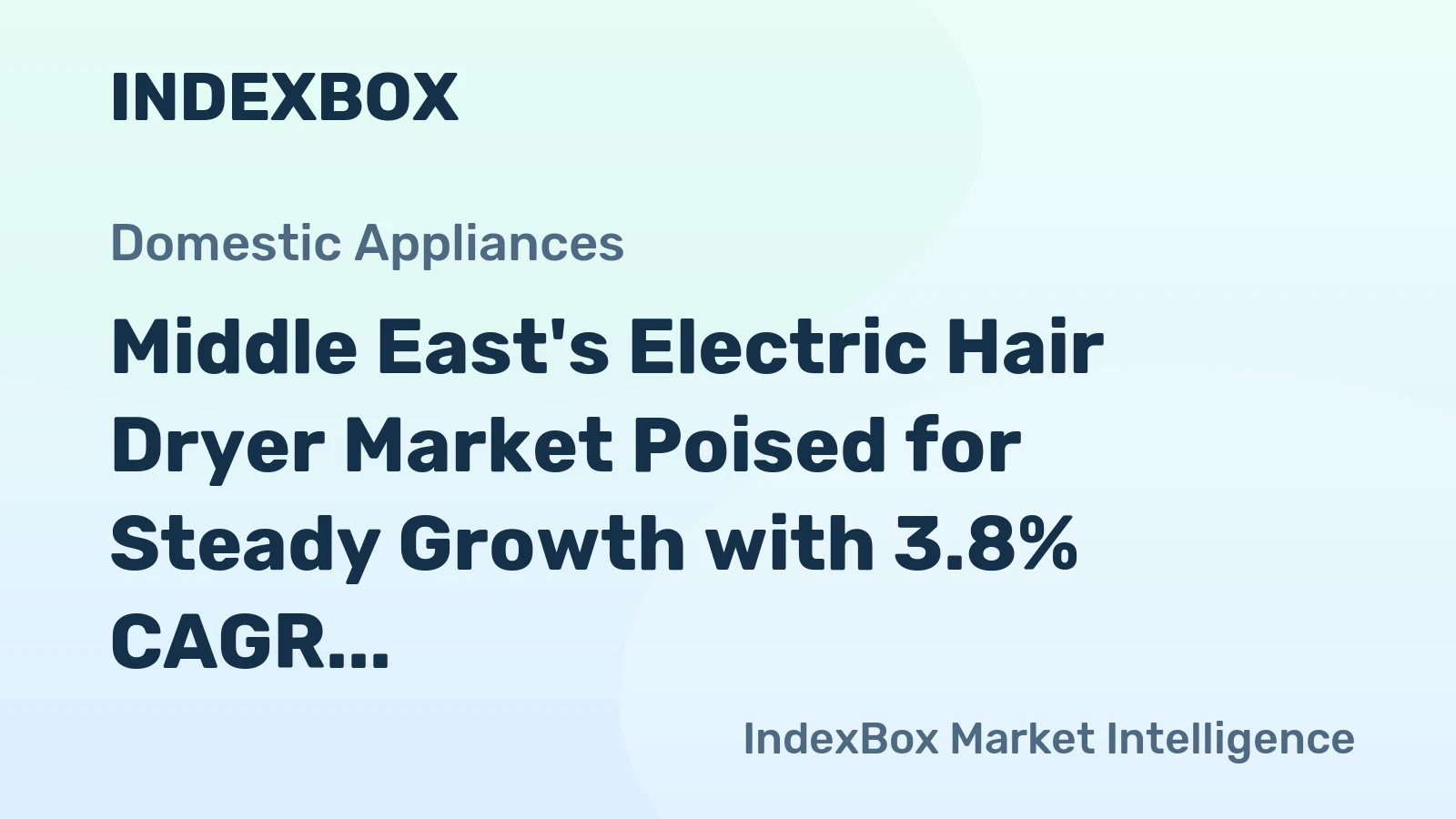 Middle East's Electric Hair Dryer Market Poised for Steady Growth with 3.8% CAGR