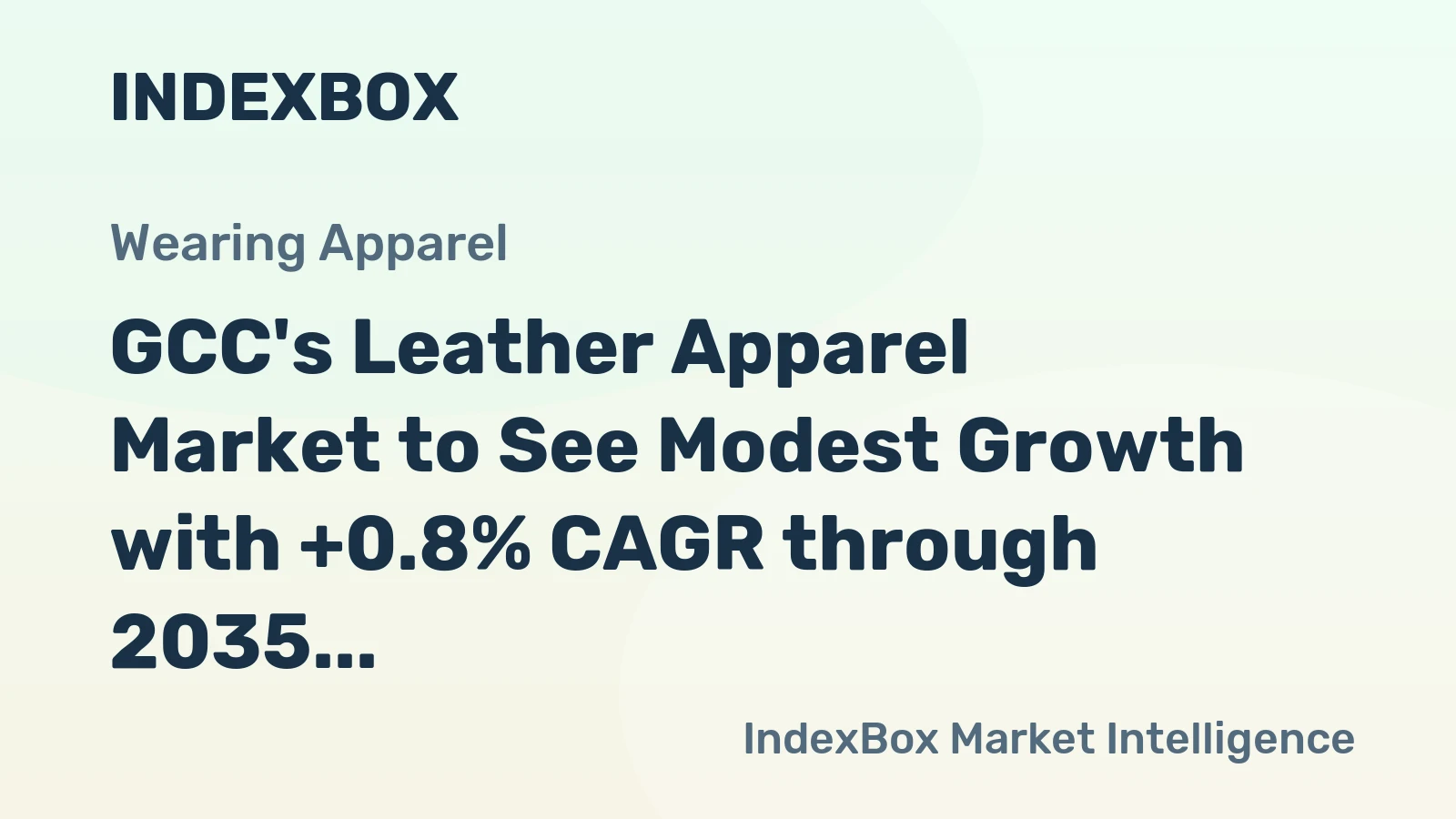 GCC's Leather Apparel Market to See Modest Growth with +0.8% CAGR through 2035
