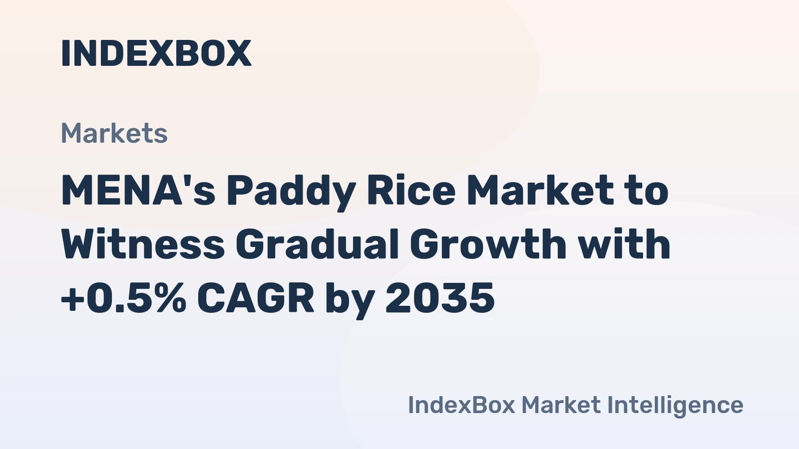 MENA's Paddy Rice Market to Witness Gradual Growth with +0.5% CAGR by 2035