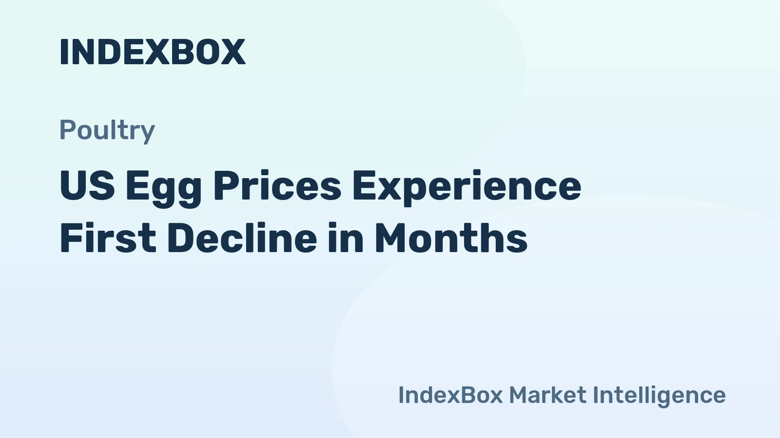 US Egg Prices Experience First Decline in Months