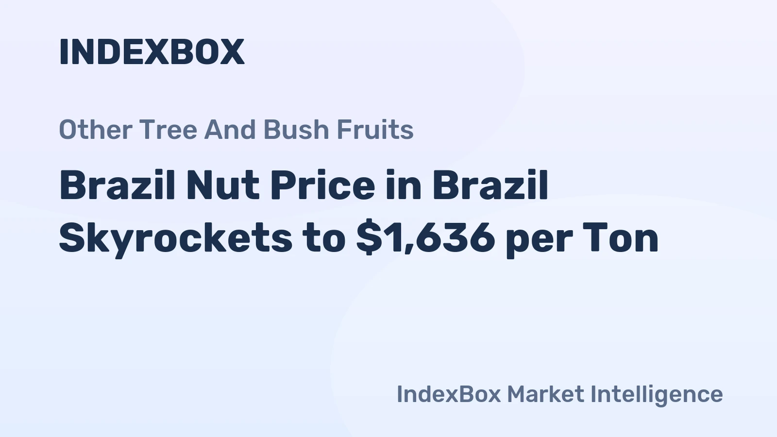 Brazil Nut Price in Brazil Skyrockets to $1,636 per Ton