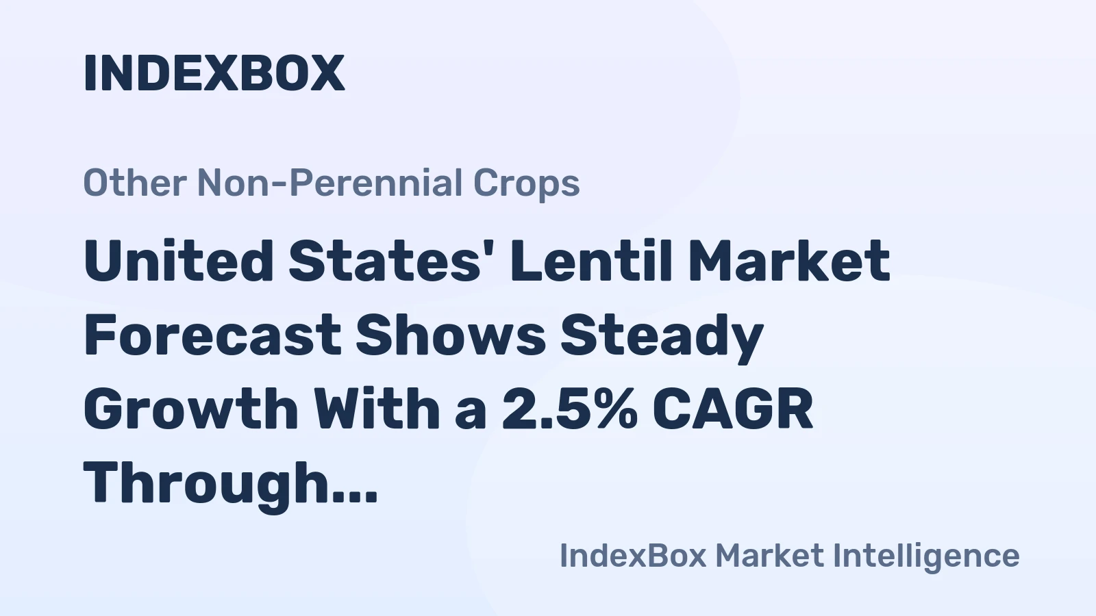 United States' Lentil Market Forecast Shows Steady Growth With a 2.5% CAGR Through 2035