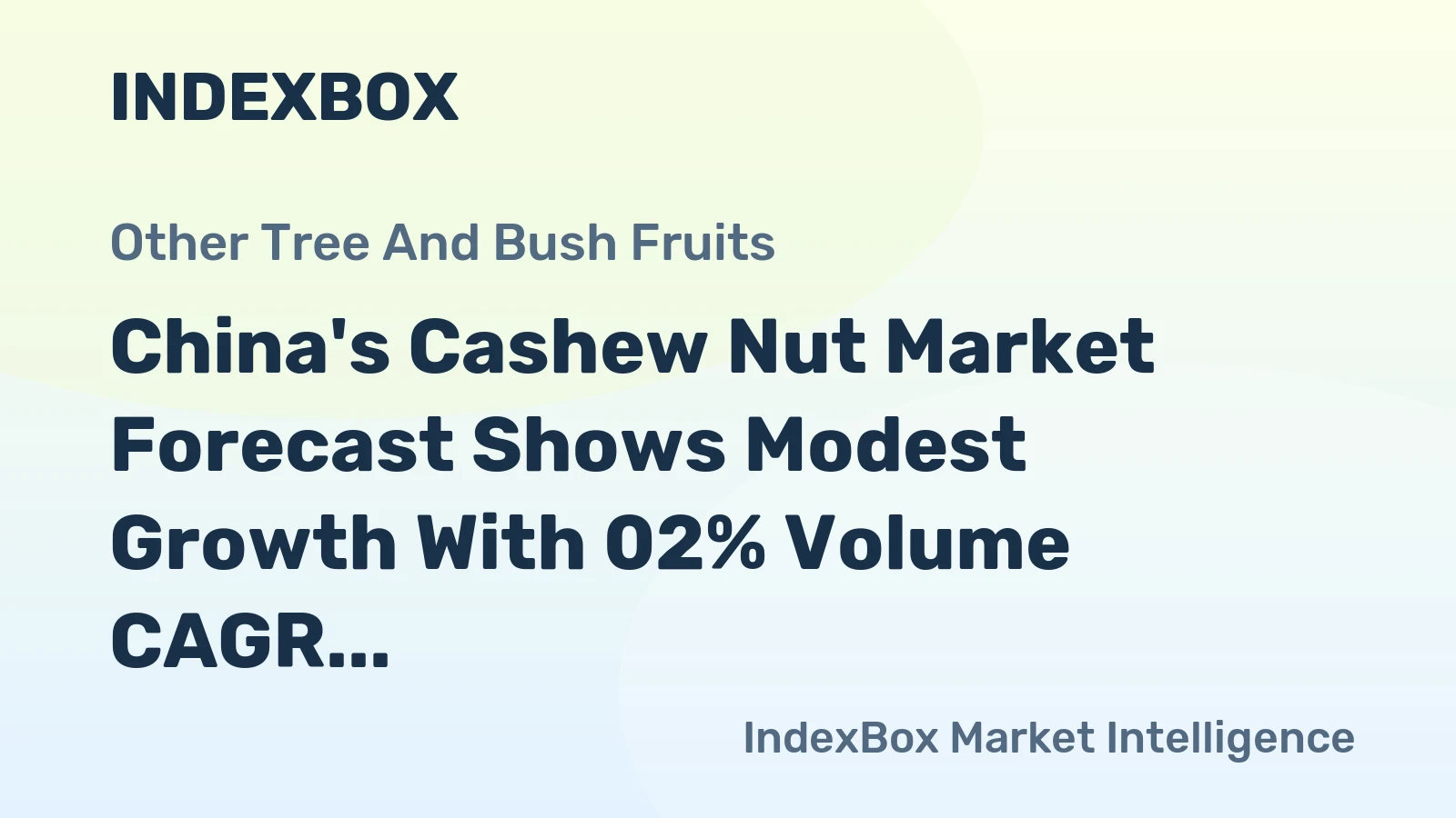 China's Cashew Nut Market Forecast Shows Modest Growth With 02% Volume CAGR Through 2035
