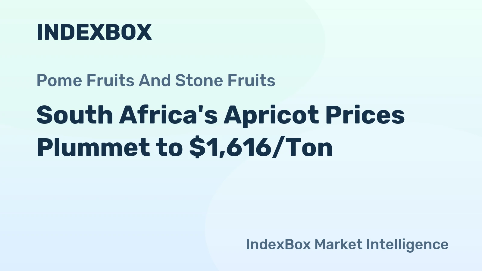 South Africa's Apricot Prices Plummet to $1,616/Ton