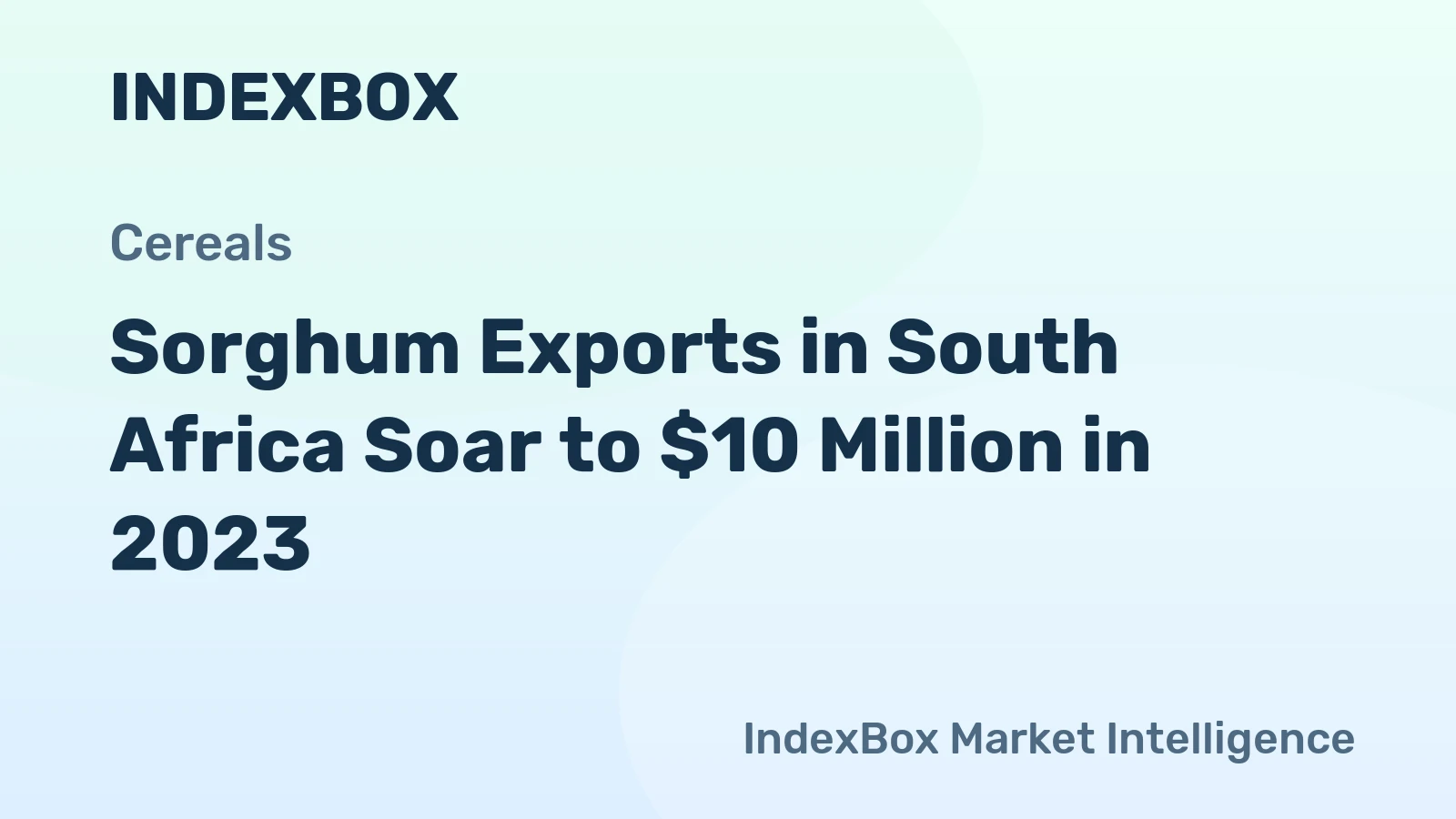 Sorghum Exports in South Africa Soar to $10 Million in 2023