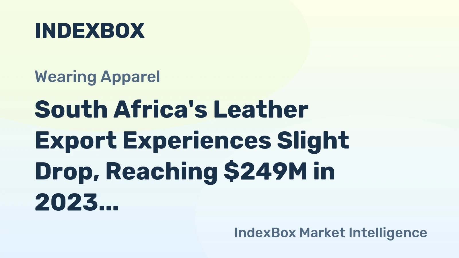 South Africa's Leather Export Experiences Slight Drop, Reaching $249M in 2023