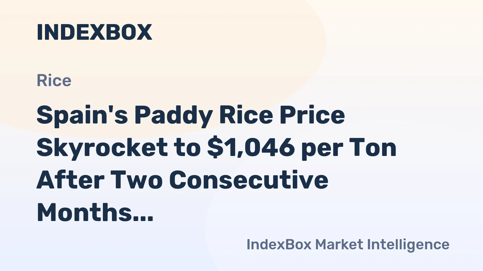 Spain's Paddy Rice Price Skyrocket to $1,046 per Ton After Two Consecutive Months of Growth