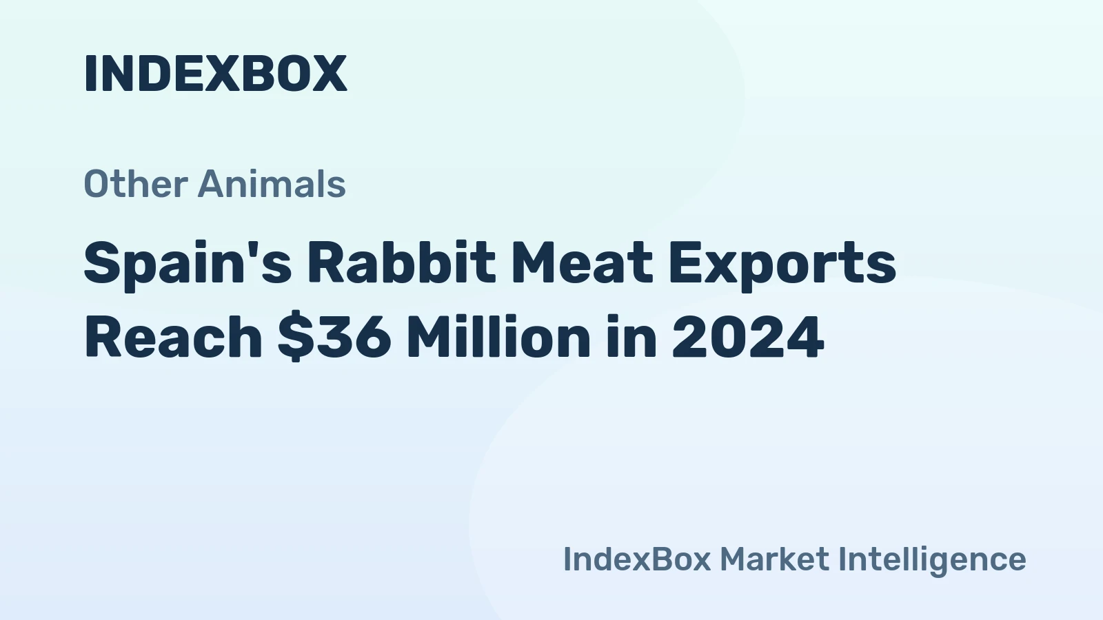 Spain's Rabbit Meat Exports Reach $36 Million in 2024