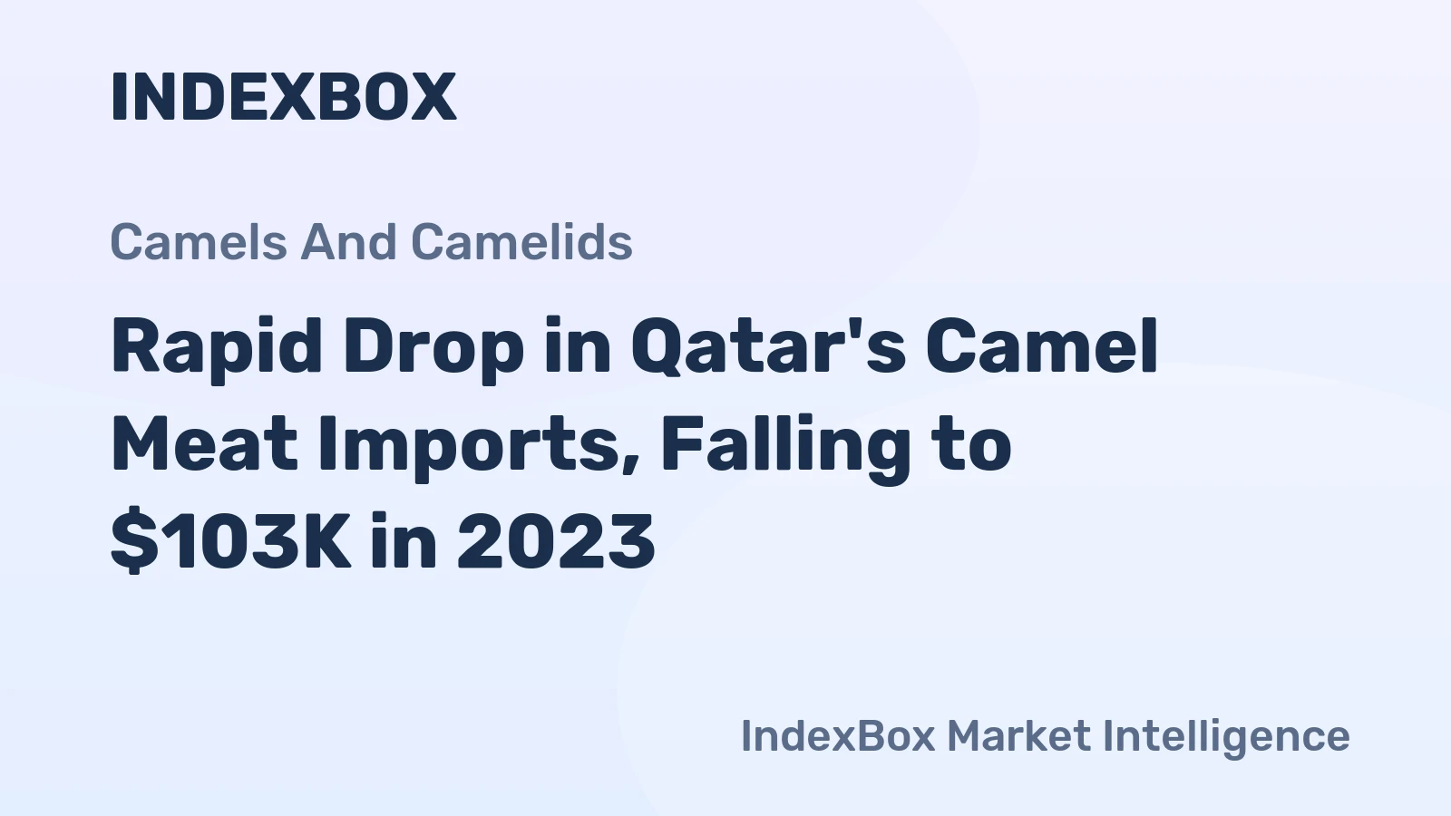Rapid Drop in Qatar's Camel Meat Imports, Falling to $103K in 2023