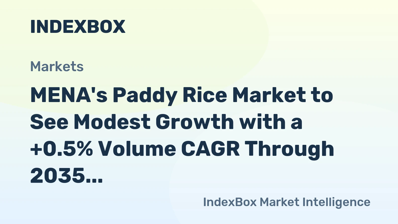 MENA's Paddy Rice Market to See Modest Growth with a +0.5% Volume CAGR Through 2035